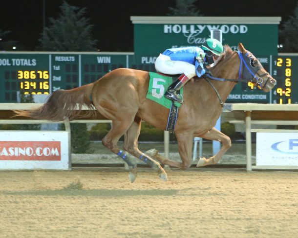 Little Roo Roo "putting it all together" * The Racing Biz